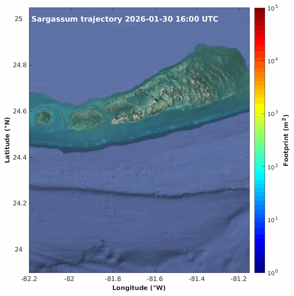 EFCOM Based Sargassum Tracking for Lower Keys Region
